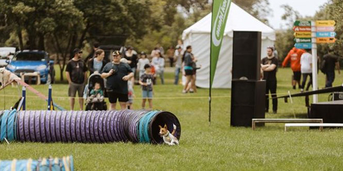 Ambury wins Outstanding Park Award - About Māngere Bridge